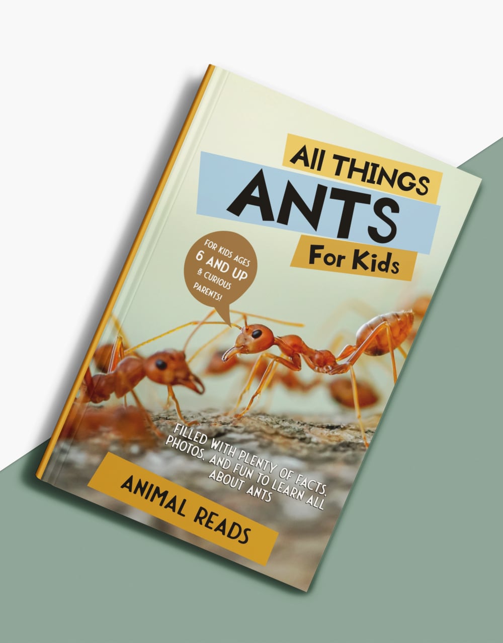 All Things Ants For Kids! | Animal Reads