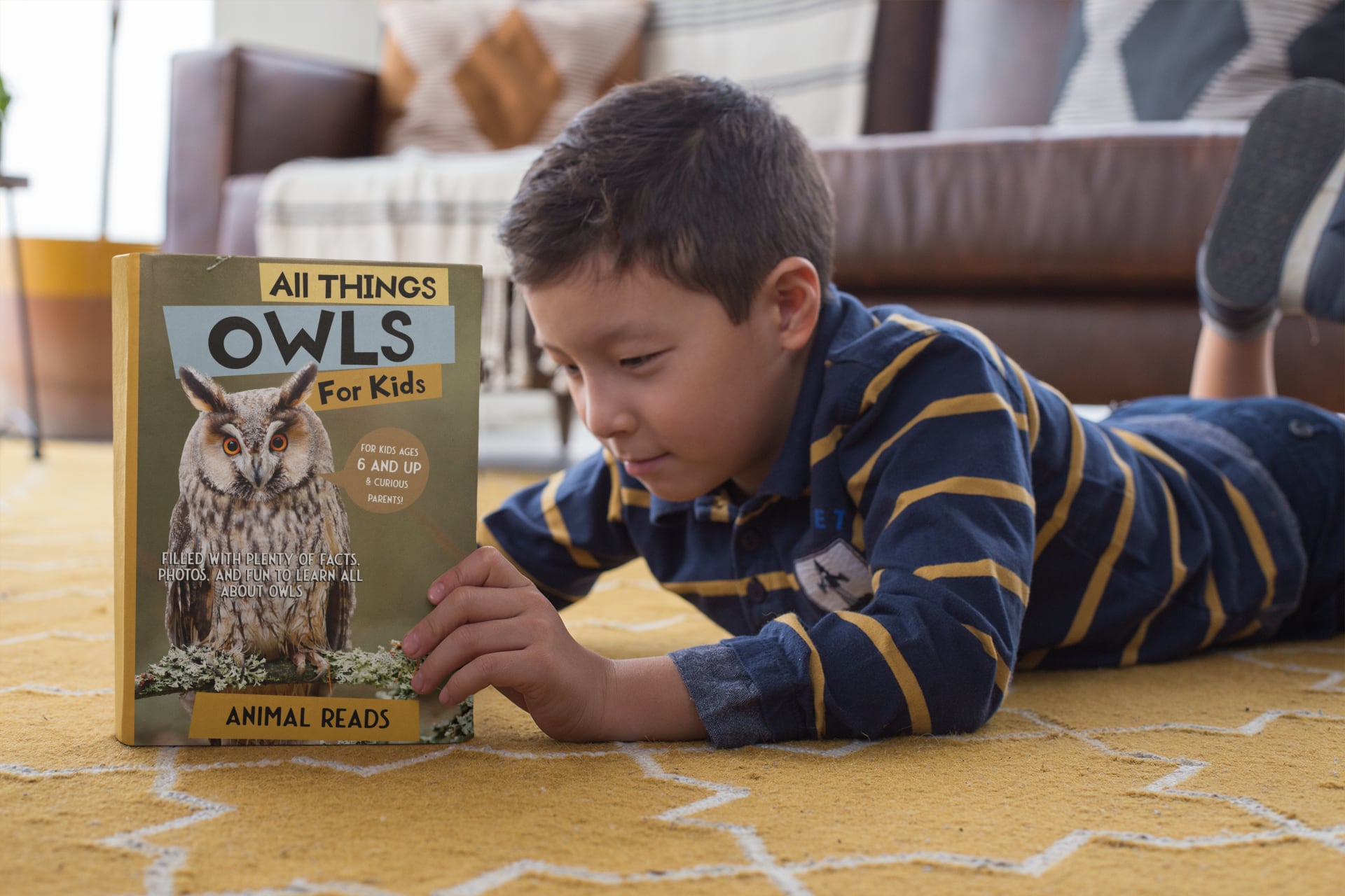 All Things Owls For Kids!